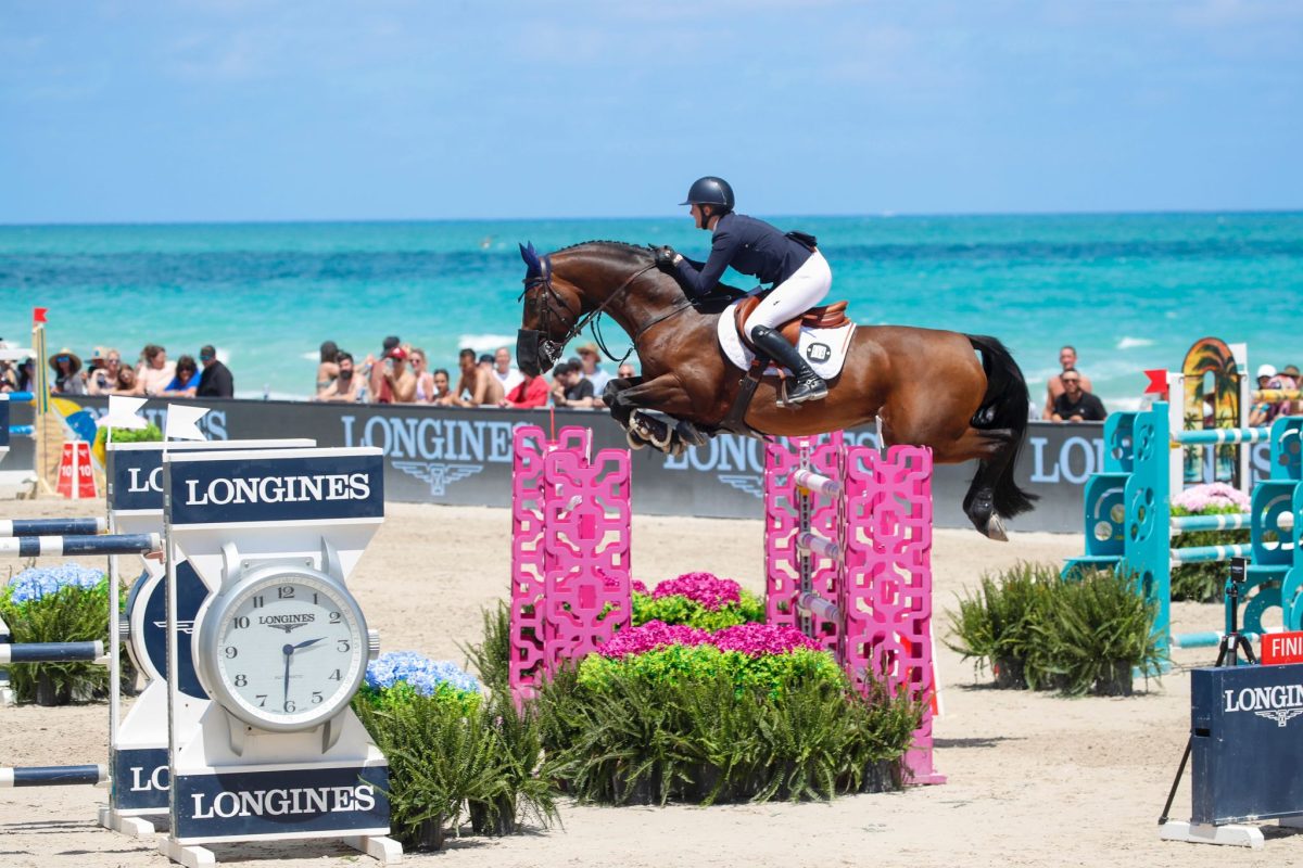 Paarden - Suus Kuyten Horses